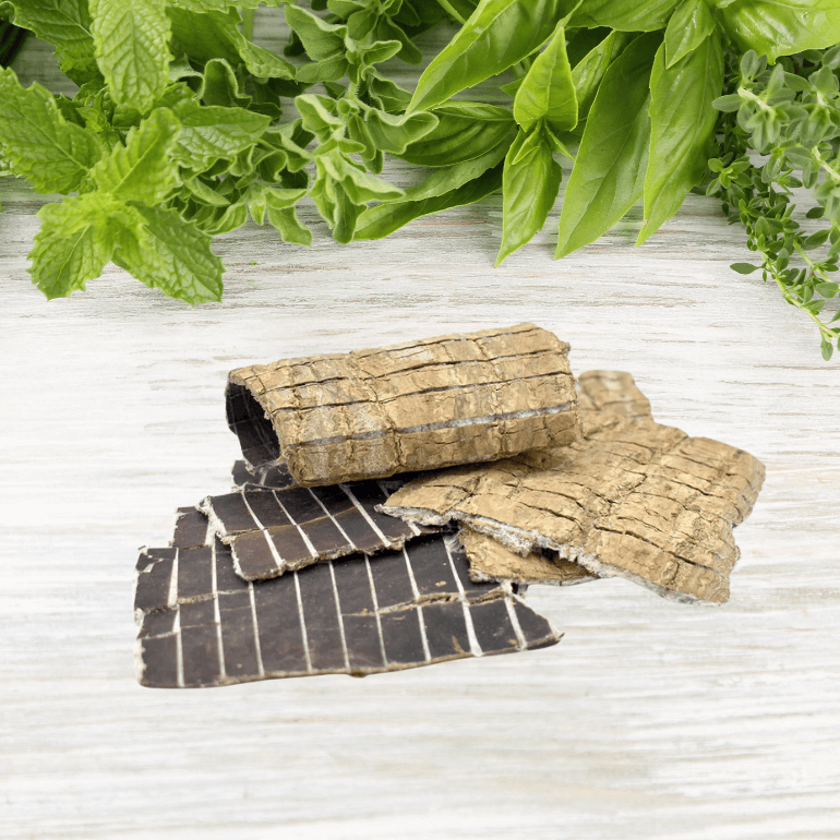 Black Pearl Du Huo & Loranthus Formula (Du Huo Ji Sheng Wan) 獨活寄生丸